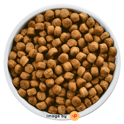 Best Types of Cat and Dog Food? - A Quick Comparison - Pawmeal