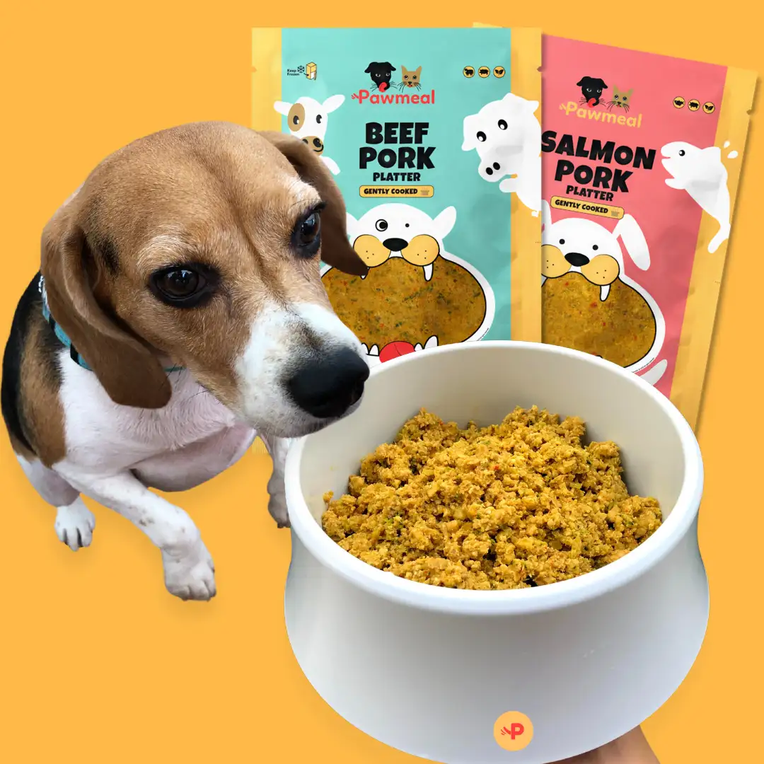 Pawmeal - Fresh Cooked Dog Food for Picky Dogs & Busy Parents